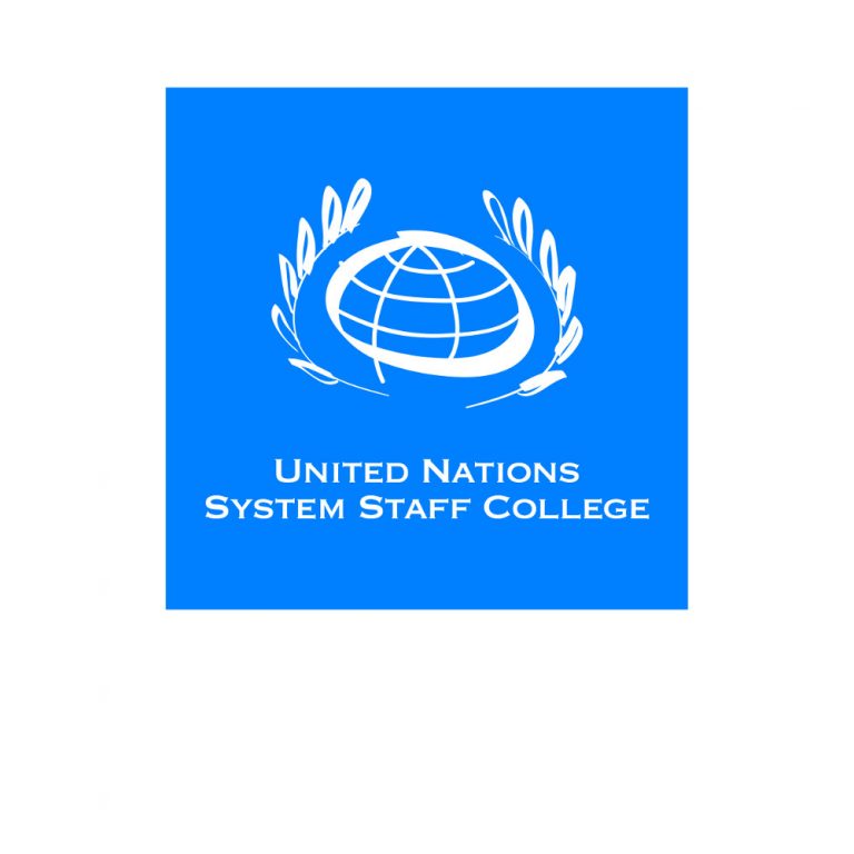 UNSSC: Leveraging Big Data for Sustainable Development | Bonn ...